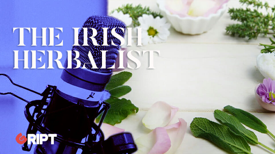 The Irish Herbalist 04 - The health benefits of dandelion - Gript