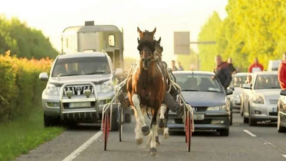 Minister spends €86,600 on ‘awareness’ raising for Sulky Racers - Gript