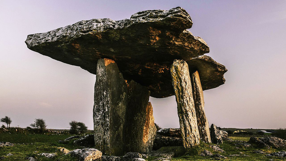 Oldest in World: 330-Million-Year-Old Burrows Discovered In The Burren ...