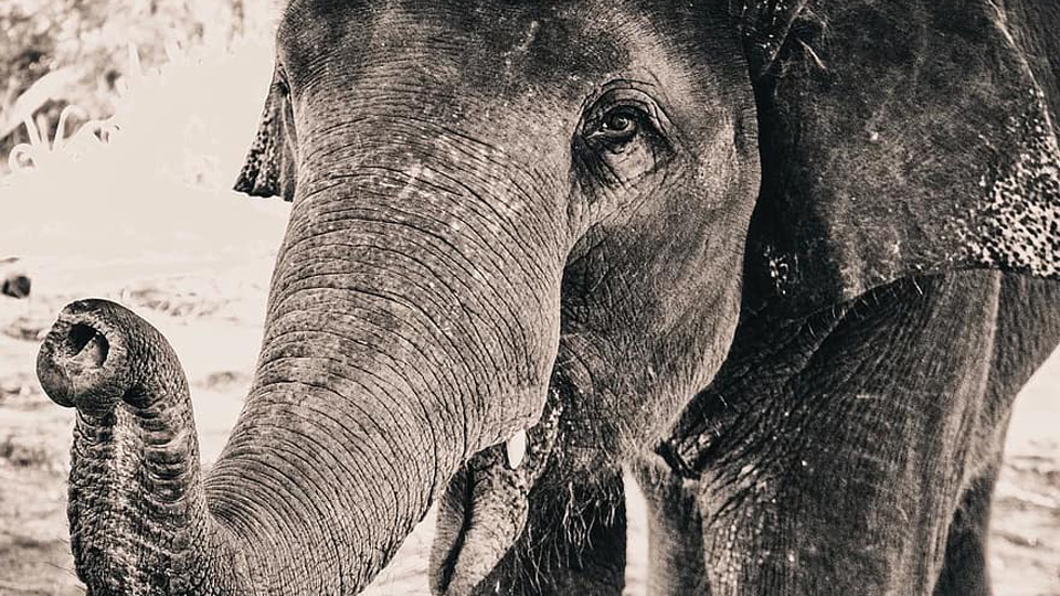 Pakistan’s topsy-turvy priorities in human rights - Gript