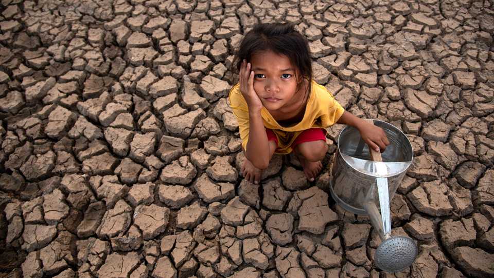 The Green Man's Burden? NGOs actions are keeping the poor of the ...