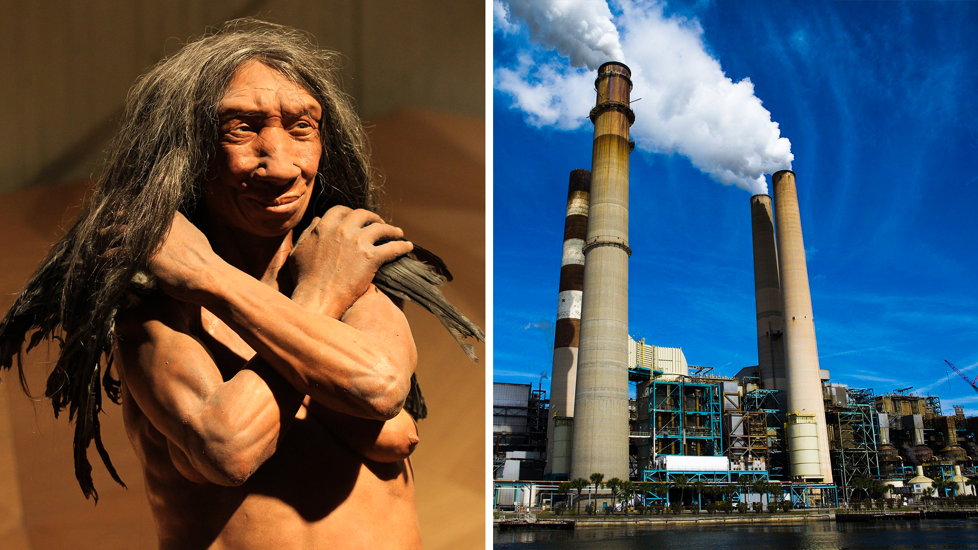 TD: Ireland can’t fix climate even if we returned “to the Stone Age ...