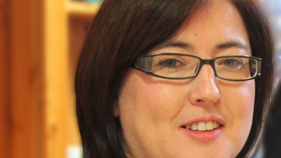 Concern as research for Abortion Review led by Repeal campaigner - Gript