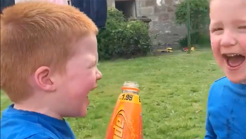 WATCH: Video of two wee lads laughing will brighten your morning - Gript