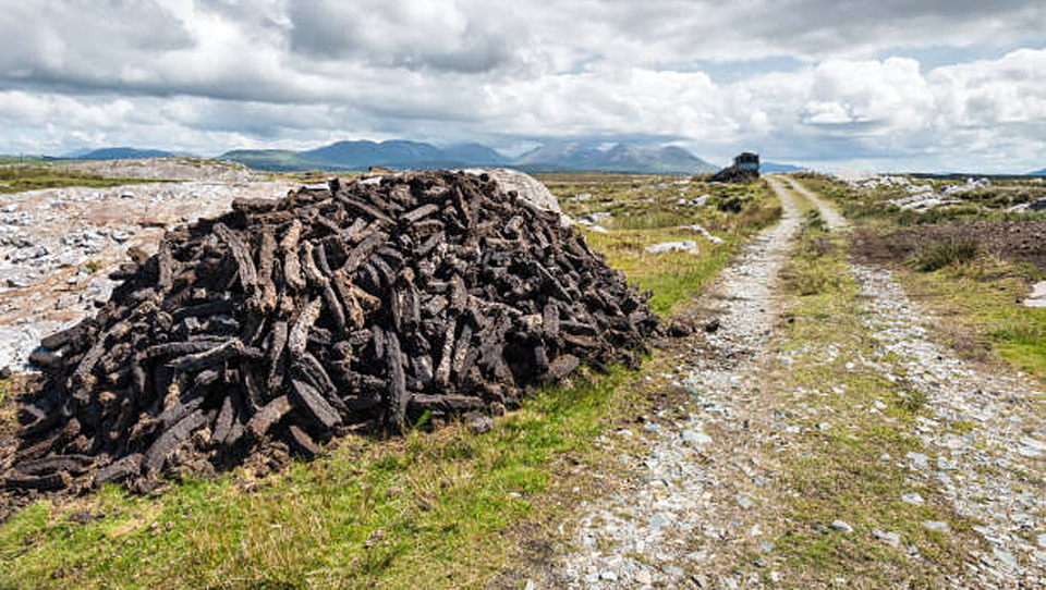 Minister confirms turbary rights to bog-land could be removed or ...