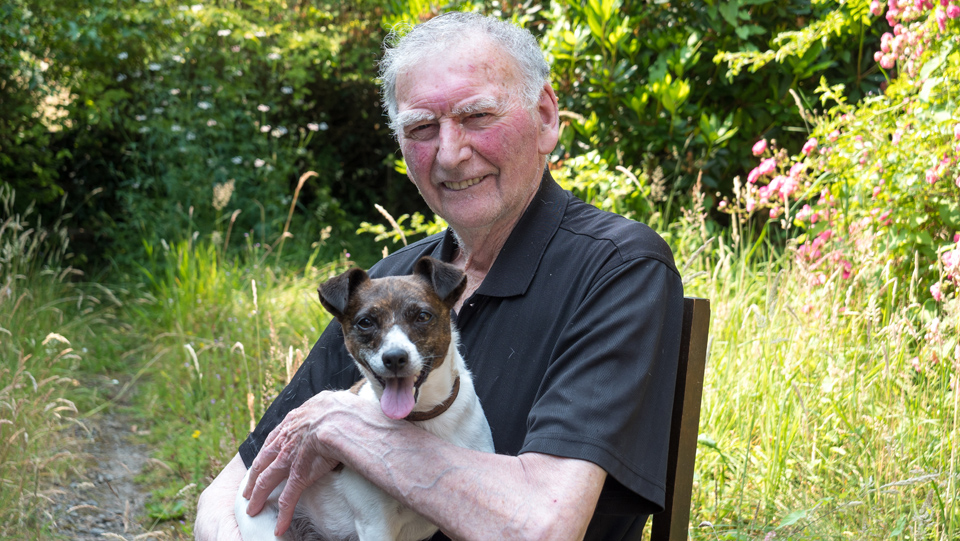 BREAKING: Kim the Dog saved as court grants reprieve - Gript