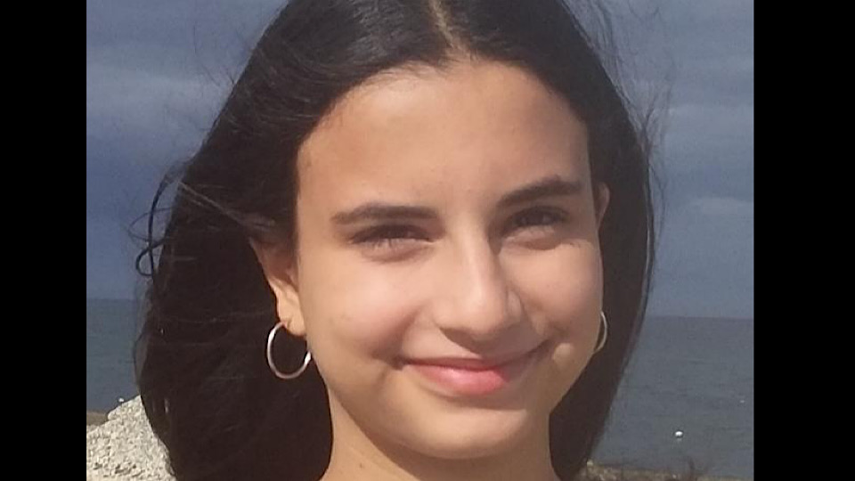 MISSING PERSON: 13-year-old girl from Dundrum - Gript