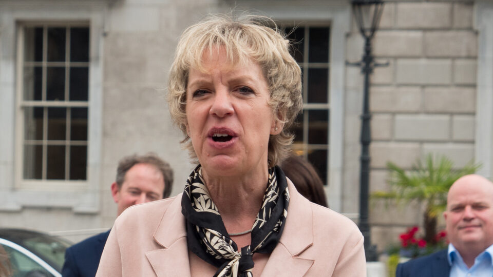 Bacik’s hopeless dream of a SocDem marriage - Gript