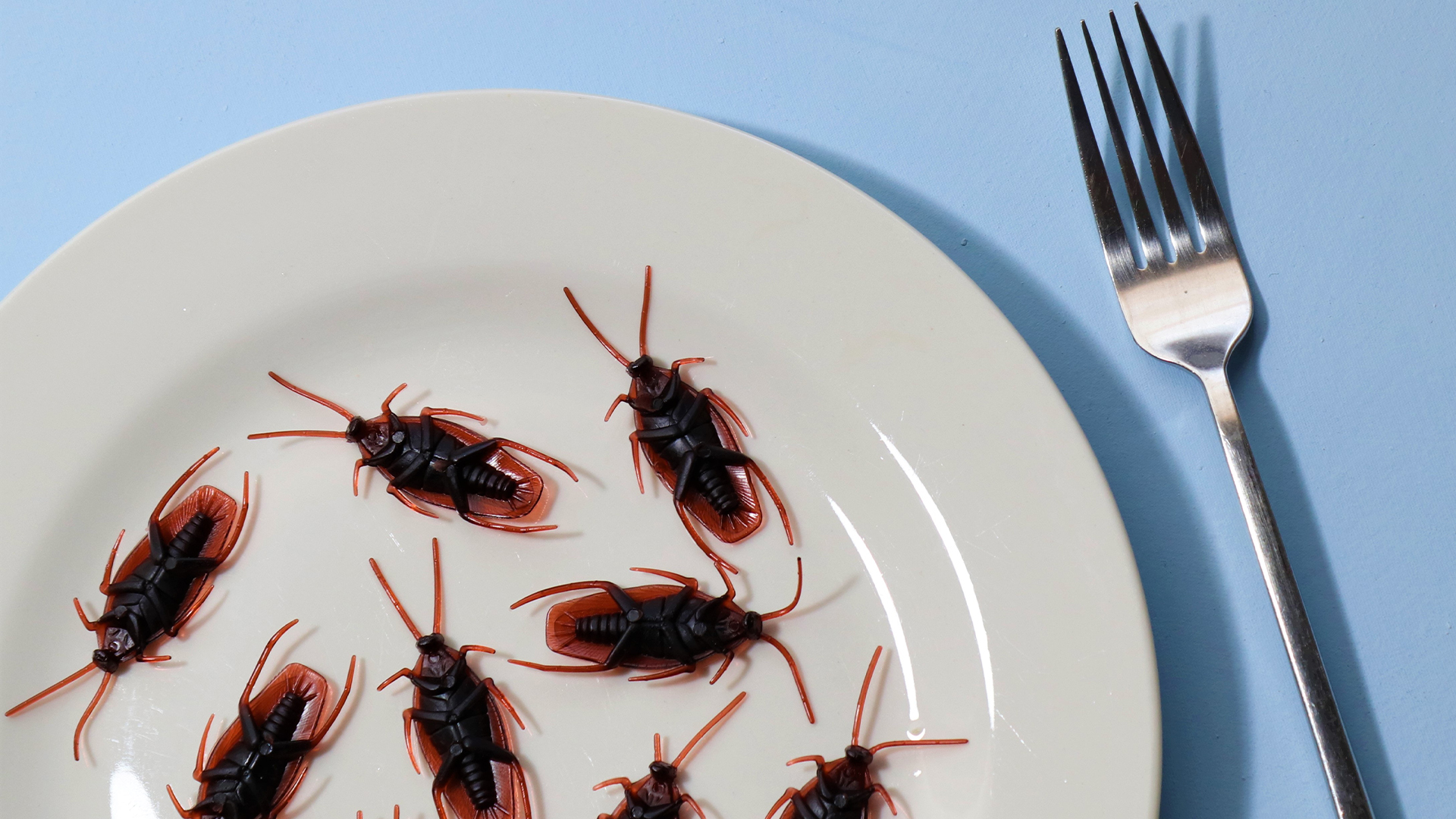 5 most disgusting insect foods being promoted to save the climate - Gript
