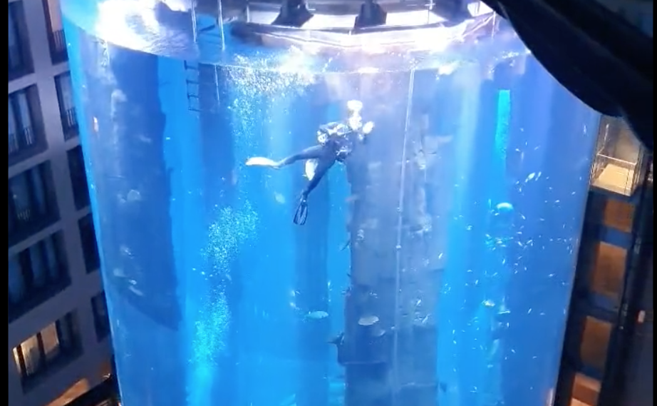 World’s Largest Free Standing Aquarium Explodes Causing Chaos in Berlin ...