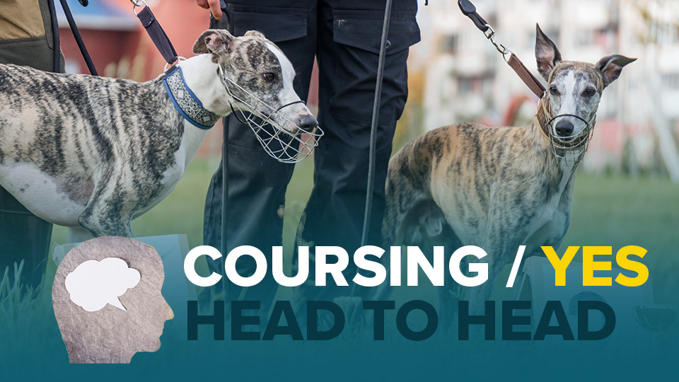 HEAD to HEAD: Coursing - A Misunderstood Tradition - Gript
