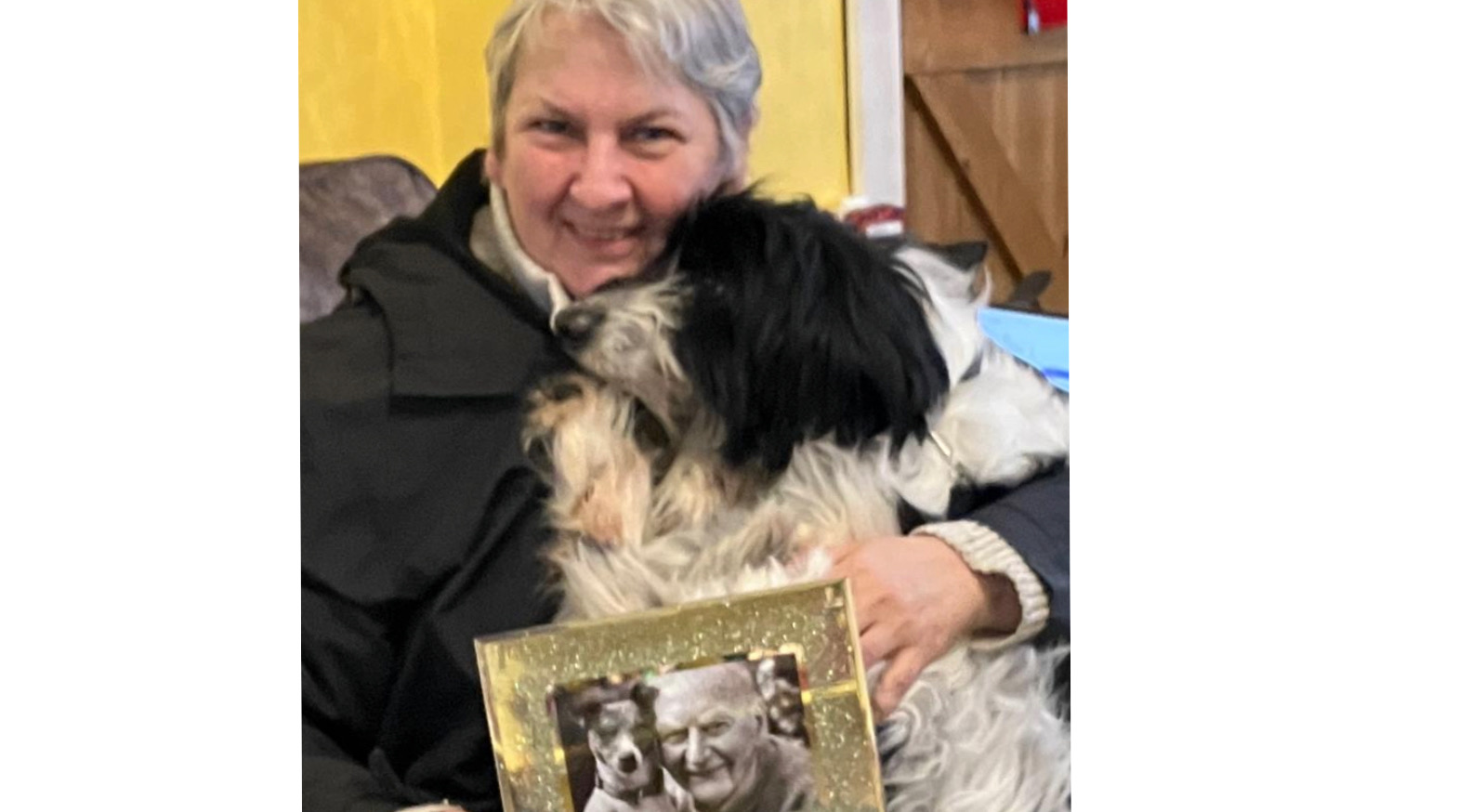 Rescue dogs named in honour of the late Donal Rogers finding their ...