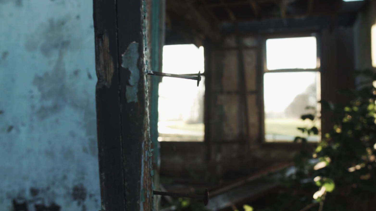 Fixing up derelict houses is not financially viable, says SCSI - Gript