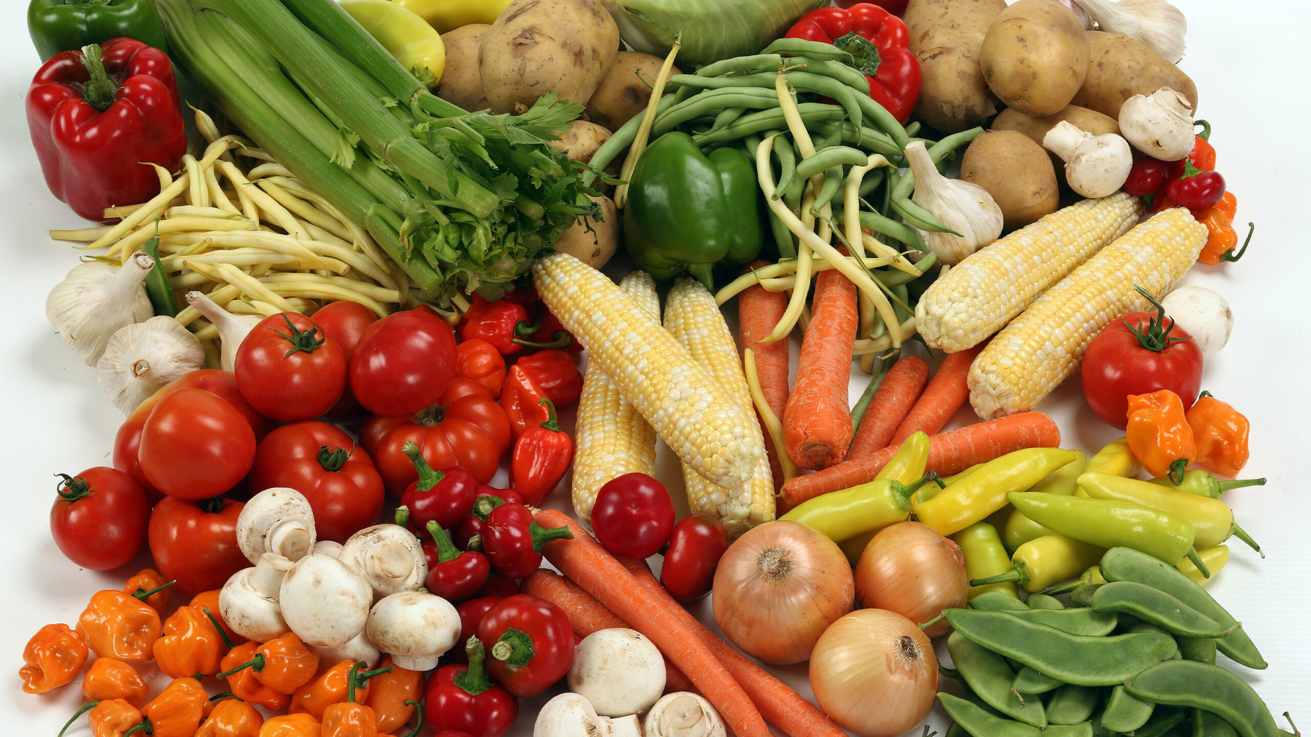 More horticultural food producers will exit industry this year ...