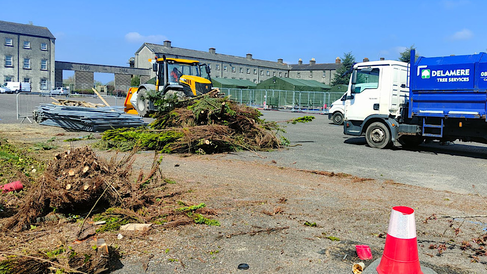 Outrage over cutting down of historic cedar trees planted by soldiers ...