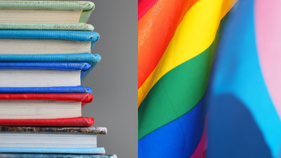 Parents of children who changed gender to sue UK government over ...