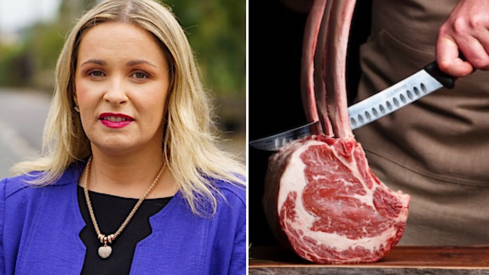 Brazilian beef imports surge - TD says Minister downplays impact - Gript