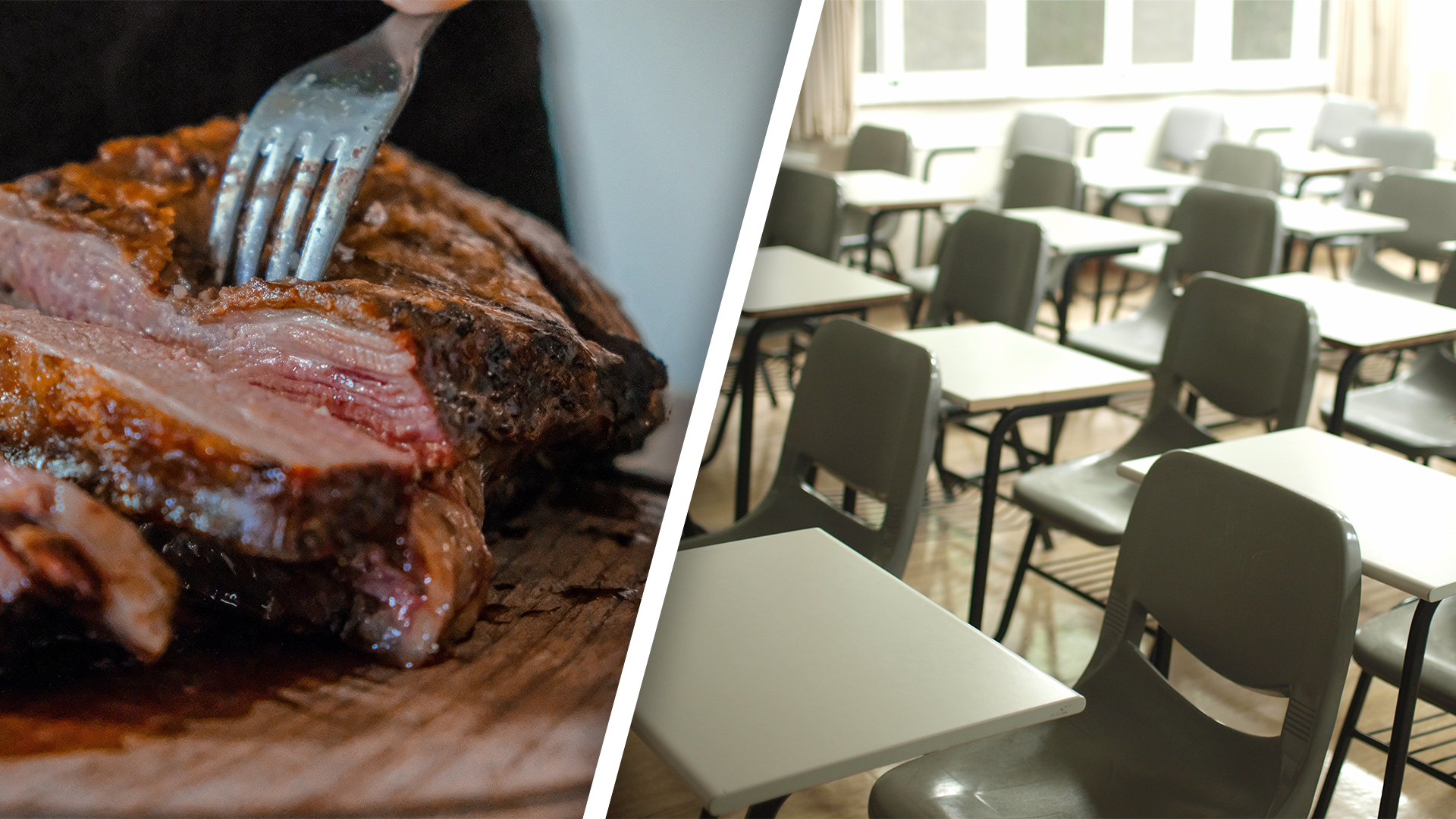 Irish teachers urged to encourage students to “eat less meat” - Gript