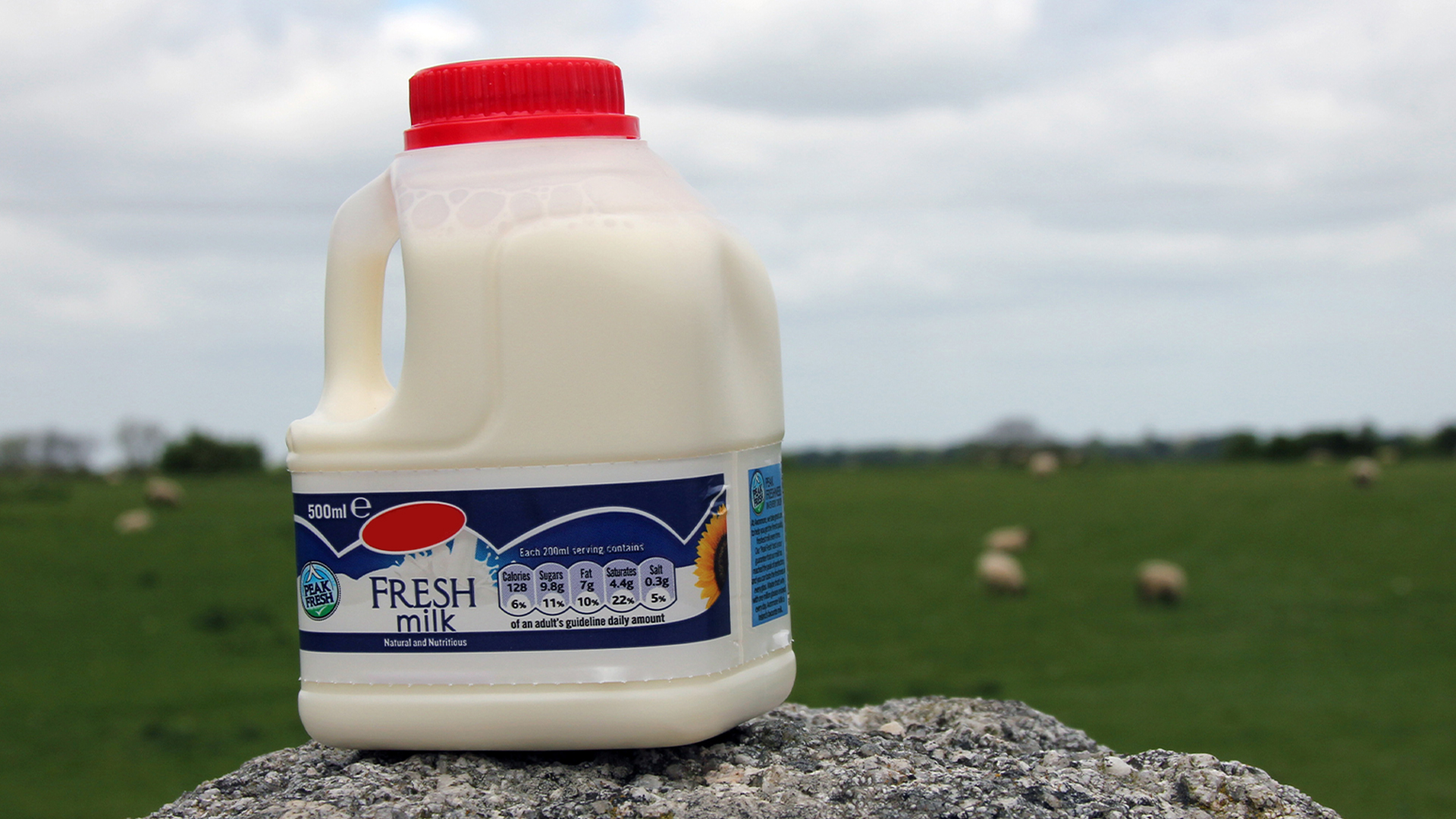 Irish dairy industry producing milk “below the cost of production ...