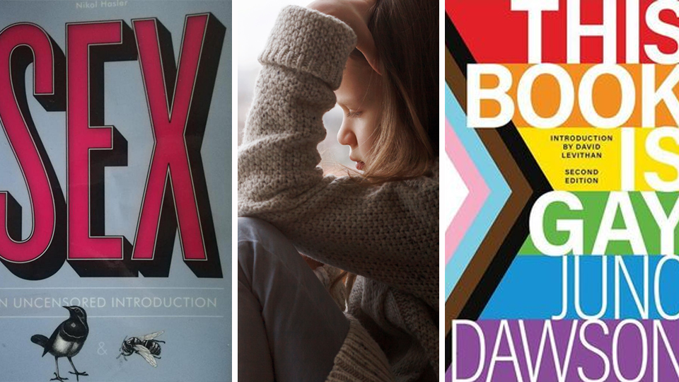 Media telling "blatant lies" in row over sexually explicit books in ...