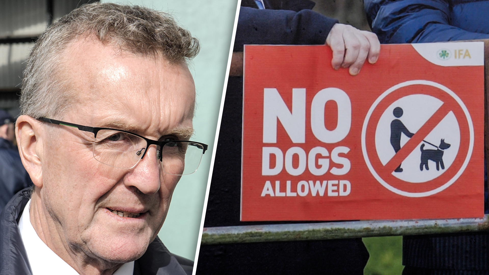 IFA President calls for debate on restricting aggressive dog breeds - Gript