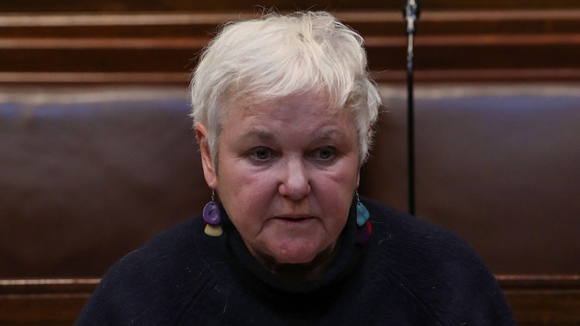 Irish Left afraid Women’s Referendum will fail due to “transphobia” - Gript