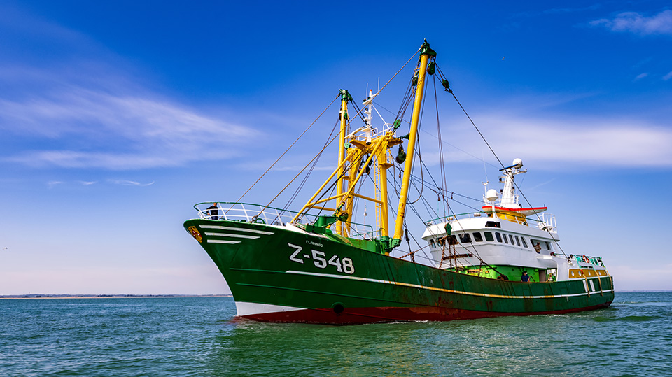 Irish fishing boats are on verge of extinction in Irish waters - Gript