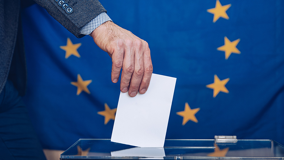 Political newbies, and Ireland’s rigged electoral system - Gript