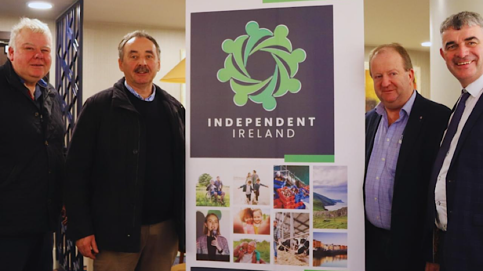 Independent Ireland: New party sees 20 local councillors so far elected ...