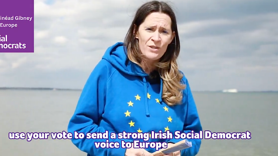 Sinéad Gibney says she lost €20,000 in European election campaign – how ...