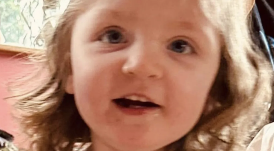 2-year-old girl who died tragically in Waterford named locally - Gript