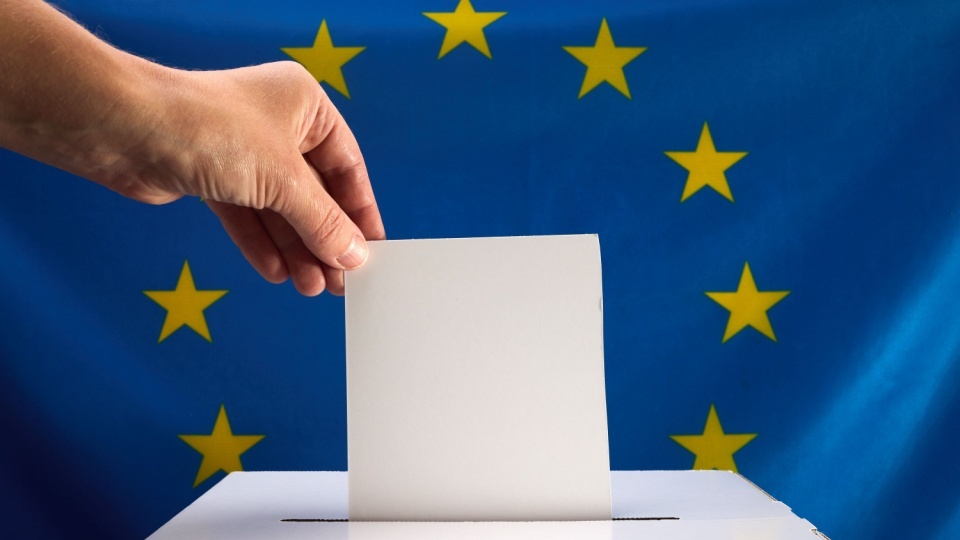 Significant gains for right wing parties across European elections - Gript