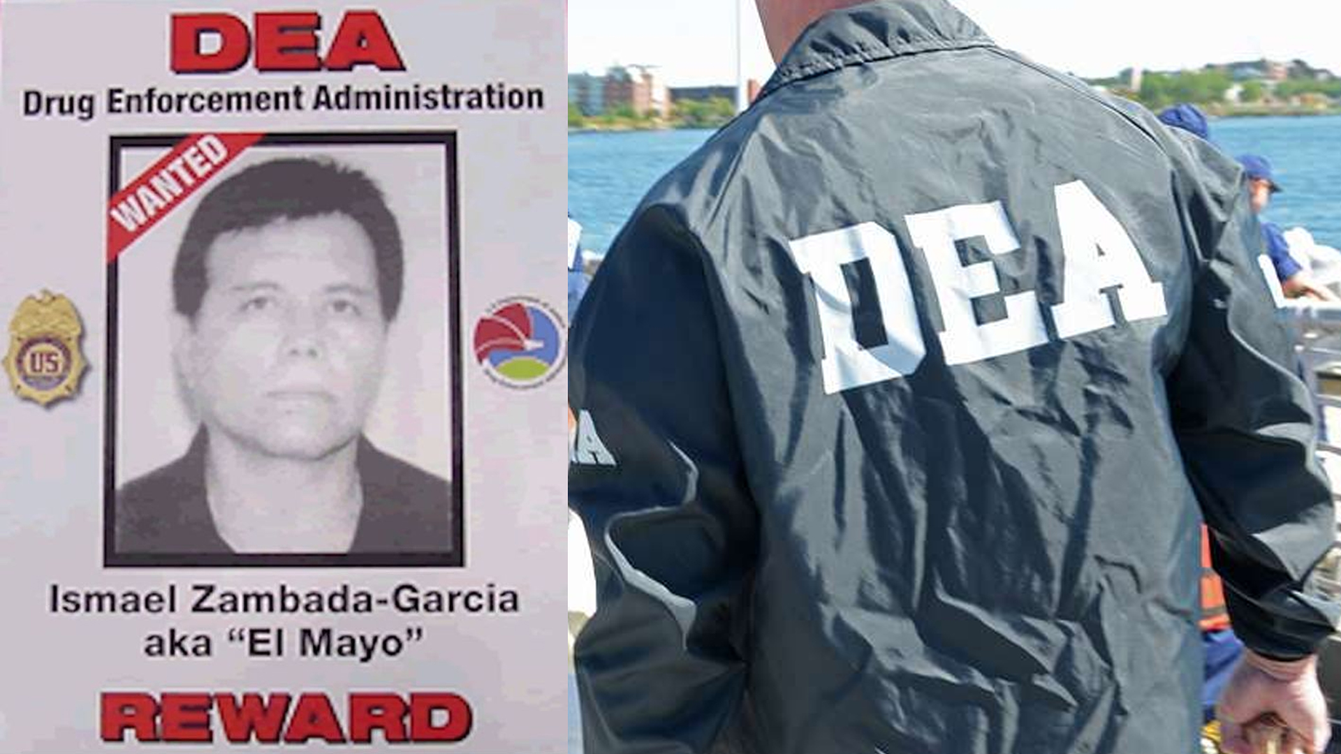Top Mexican drug trafficker “El Mayo” arrested by US feds - Gript