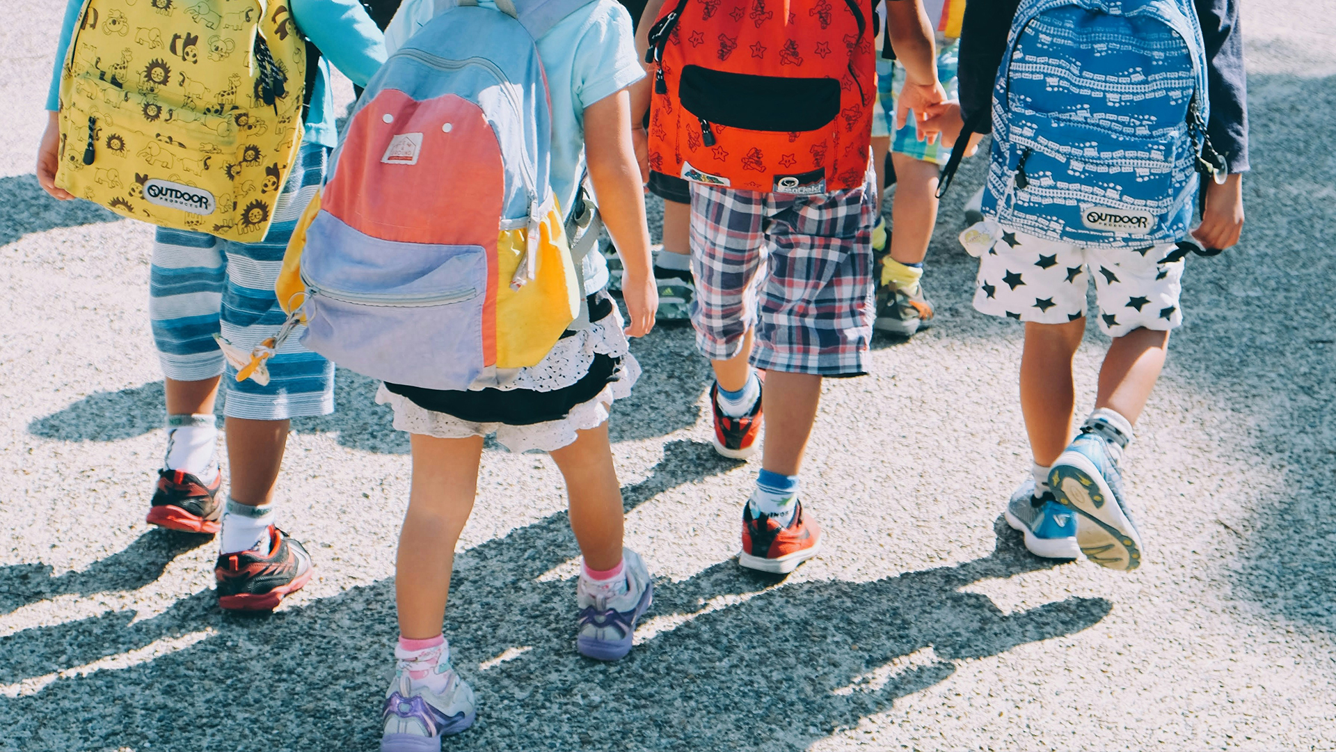 CEP welcome survey results as affirming role of Catholic schools - Gript