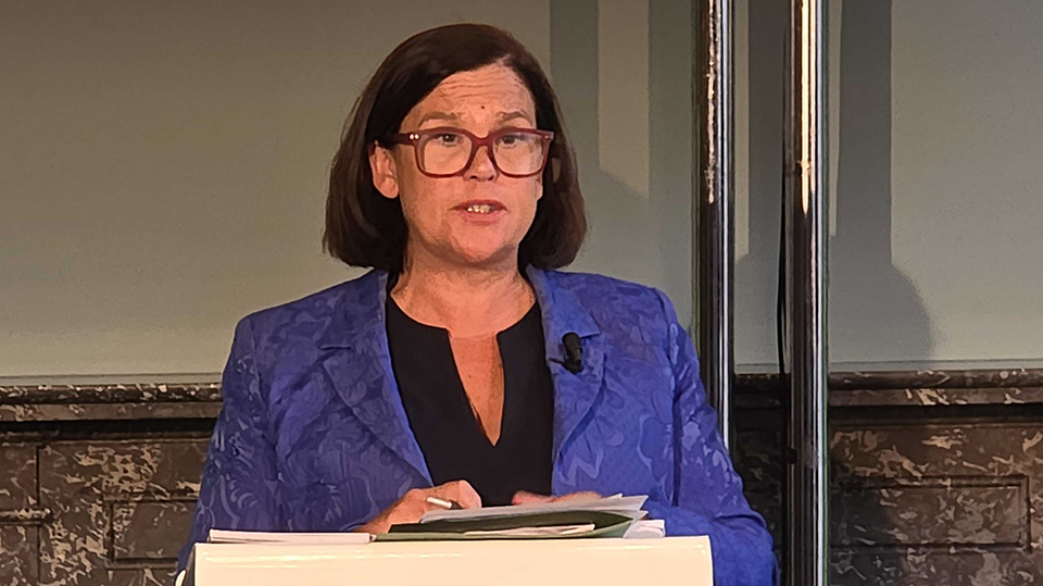 PREMIUM: Why Government would be fools to take advice from Mary Lou - Gript