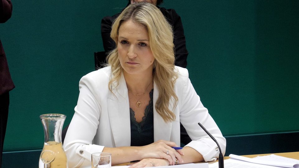 Election: How Helen McEntee is being flatly dishonest on immigration ...