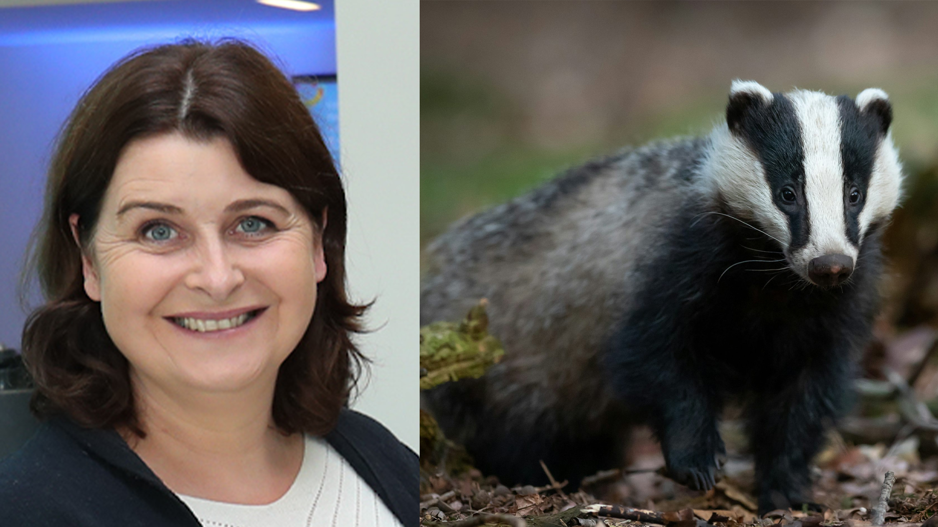 Social Democrats TD calls for Garda “Wildlife Crime Unit” - Gript