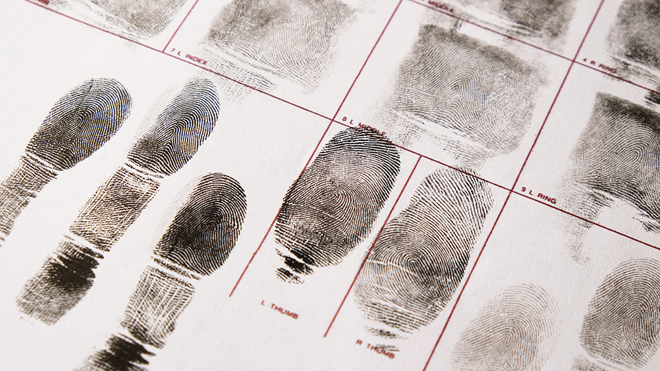 New Report Questions Ireland’s Use of EU Criminal Vetting Tools for ...