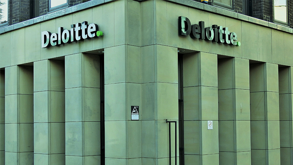 Asylum provision plus work permits: how giant Deloitte benefits from ...