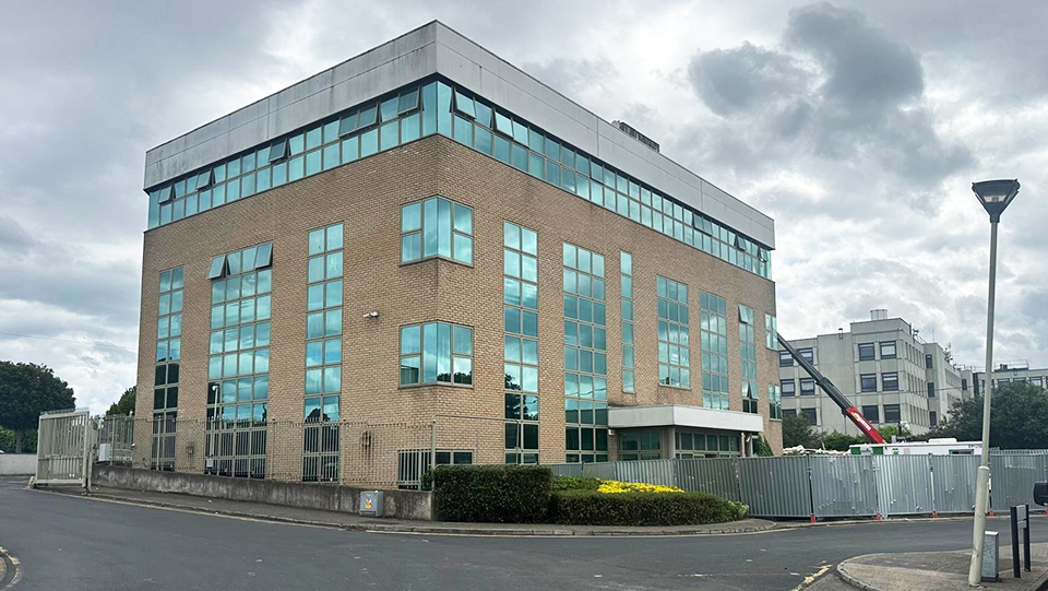 IPAS centres, Bluebell, and tangled webs - Gript