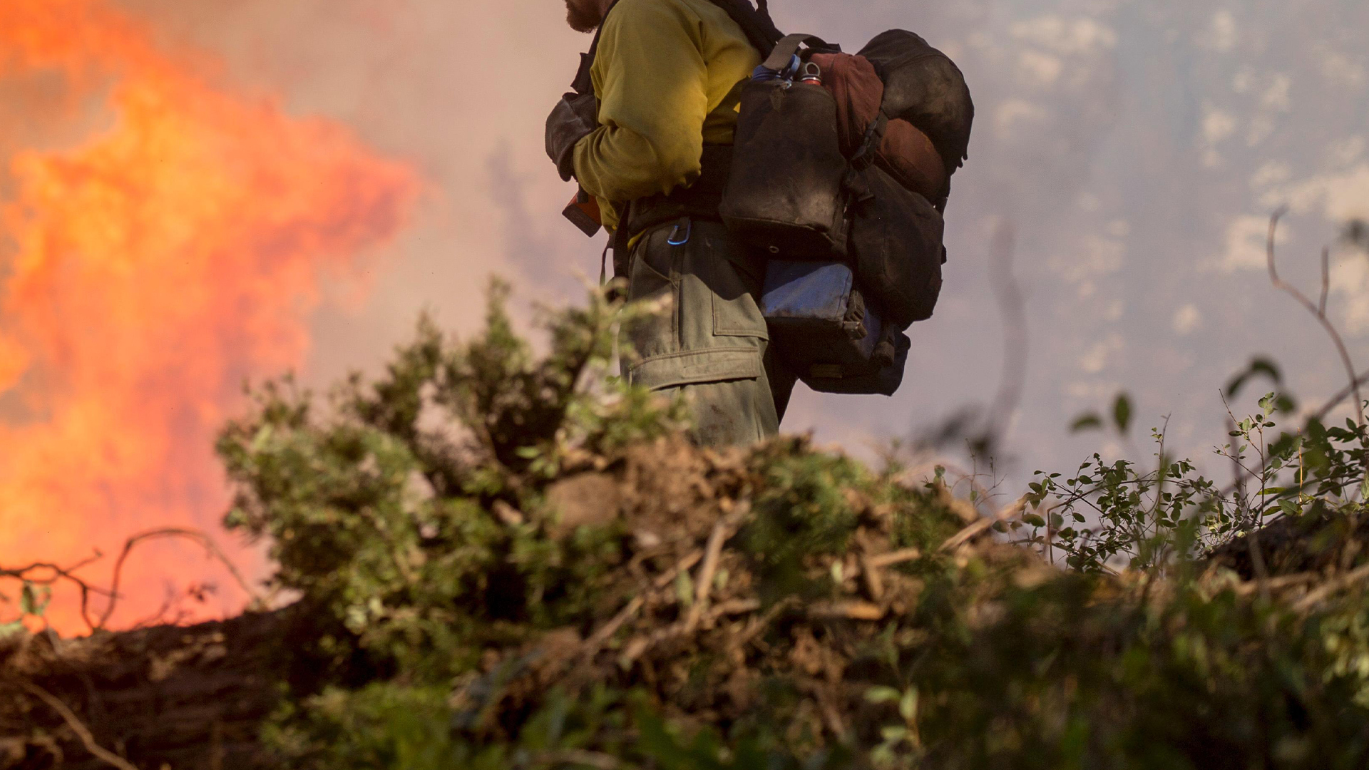 Firefighters shot dead while responding to Idaho blaze - Gript