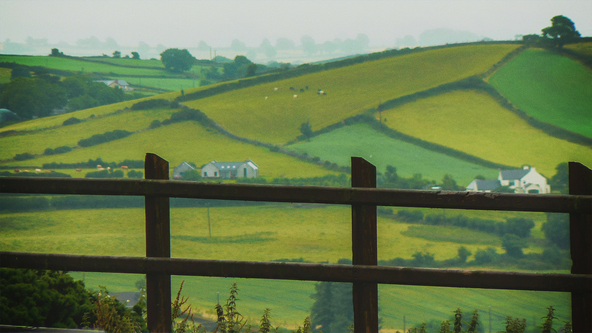 3 power cuts in 29 days: Welcome to rural Ireland - Gript
