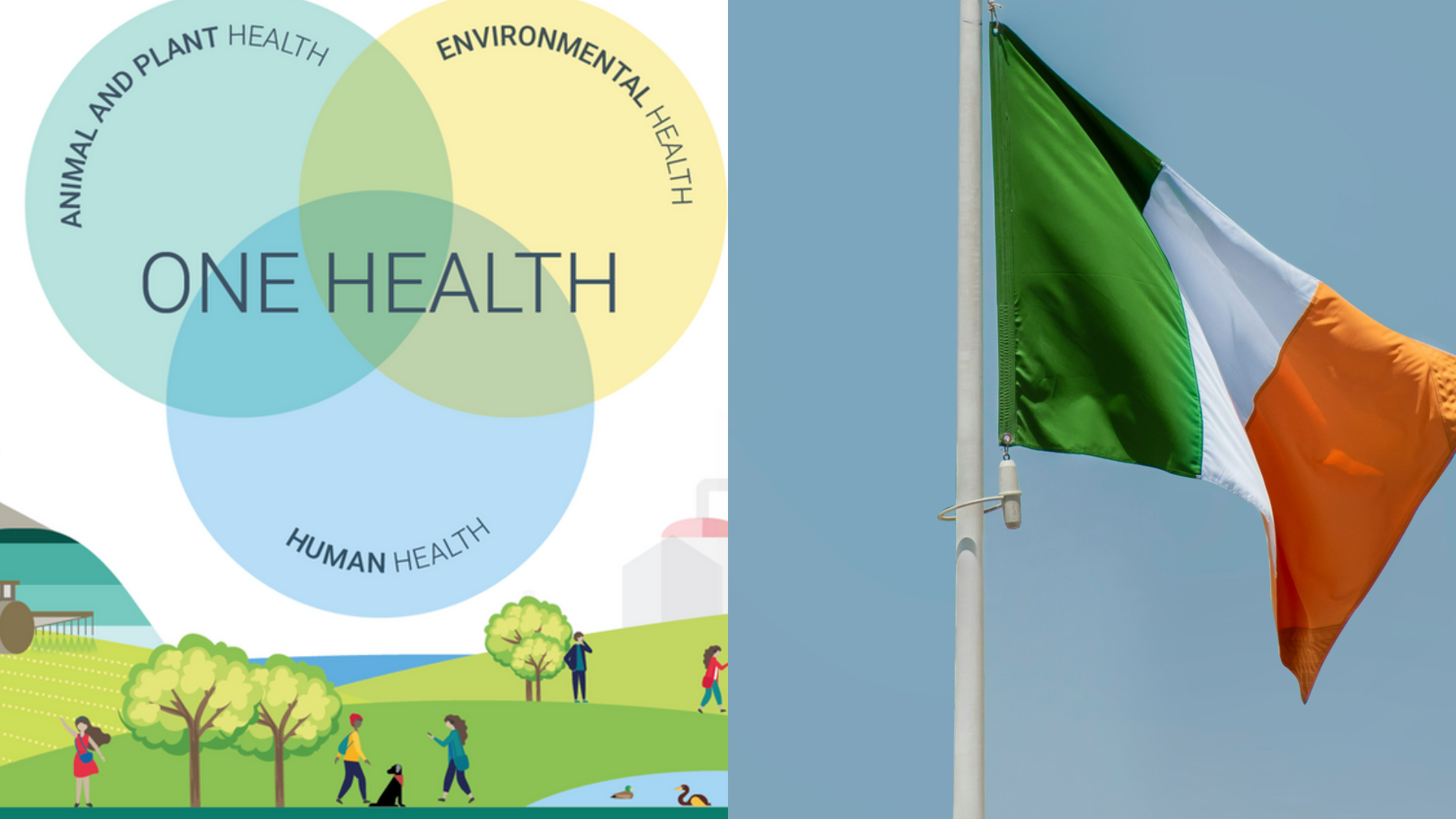 'One Health' oversight committee established - Gript