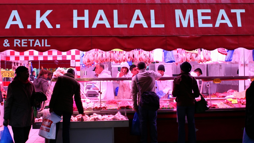 TD: Ireland’s halal meat industry ‘a law unto itself’ - Gript