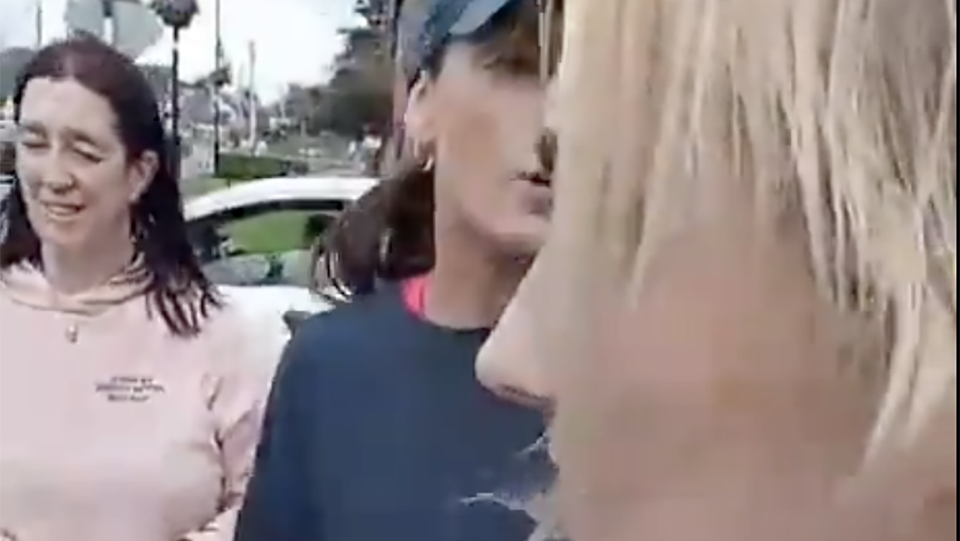 Green Party candidate videoed taking down flags - Gript