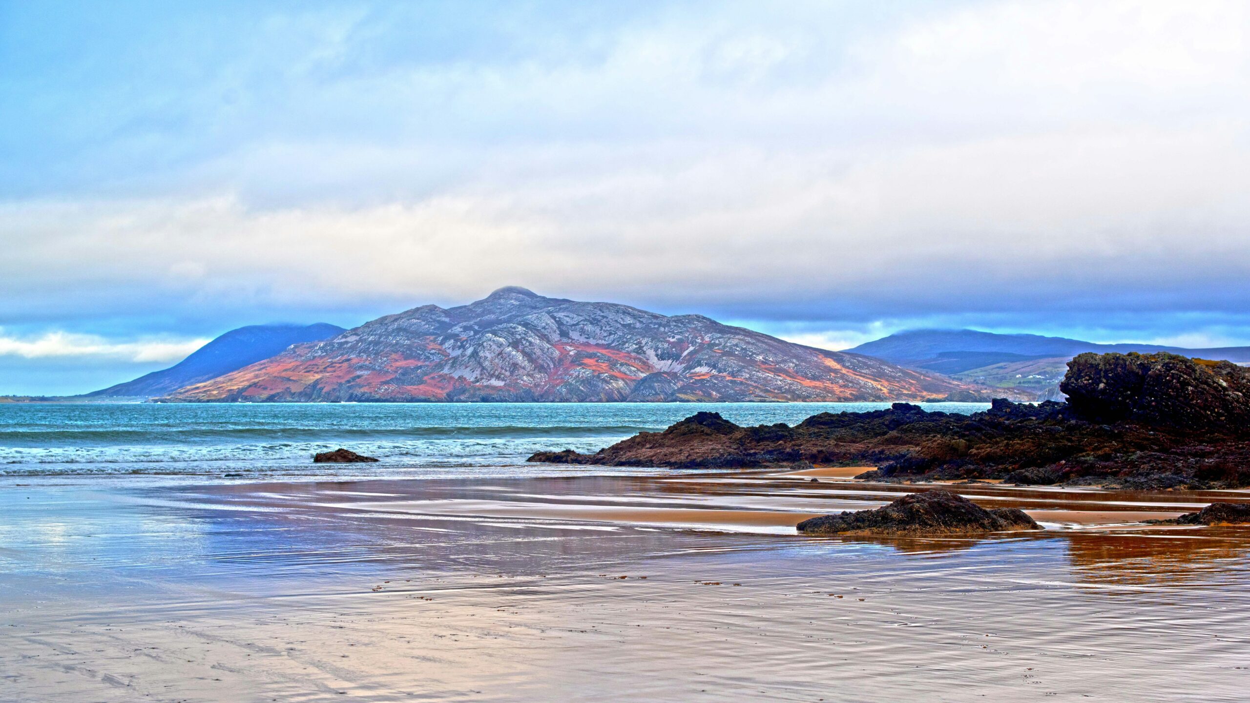Arctic whale washes up on Donegal coast in Irish first - Gript